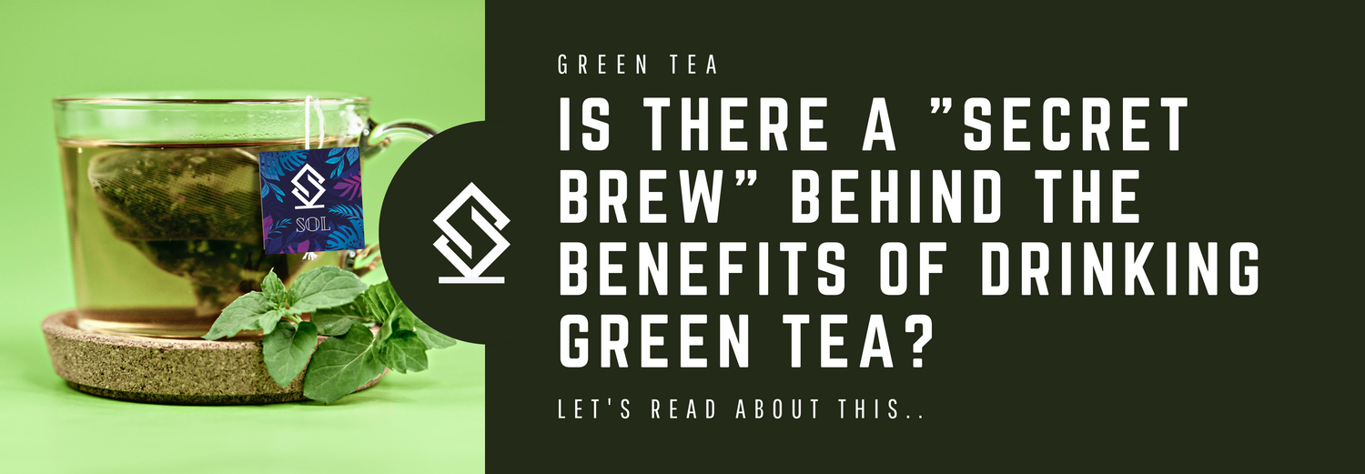 Drinking Green Tea Everyday Here S What You Should Know Solshop