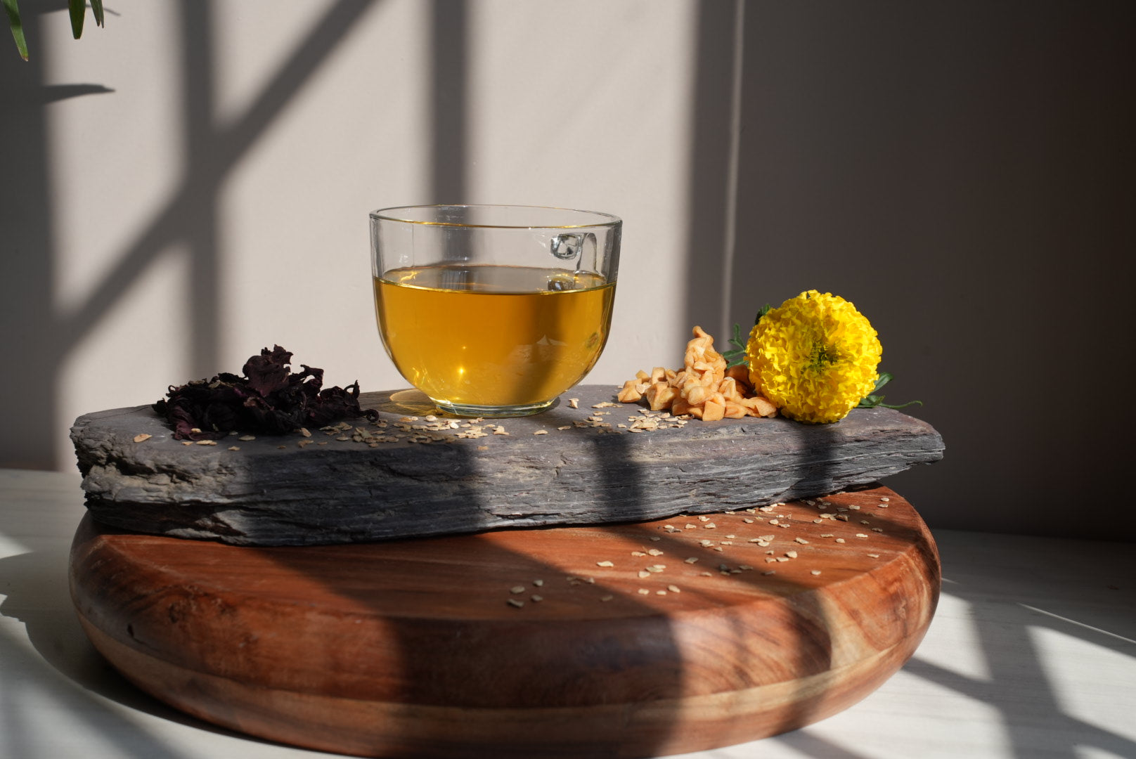 We've got the perfect read for you! – Solshop